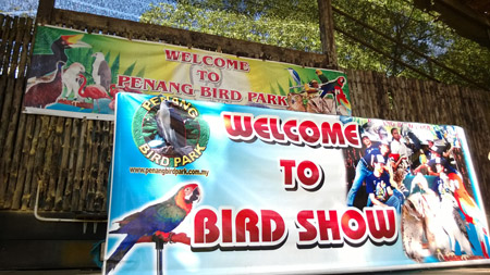 Animal Show | Penang Bird Park